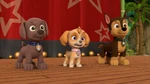 Skye/Gallery/Pups Save a Flamingo Dancer | PAW Patrol Wiki | Fandom