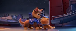 Nano/Trivia | PAW Patrol Wiki | Fandom