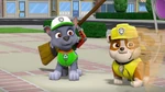 Rocky/Gallery/Pups Stop a Pie-Clone | PAW Patrol Wiki | Fandom