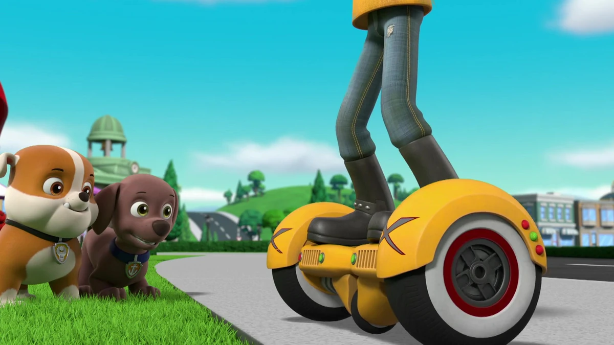 Zuma/Gallery/Pups Save a Runaway Rooster | PAW Patrol Wiki | Fandom