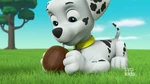 Pups Save Baby Humdinger/Gallery | PAW Patrol Wiki | Fandom