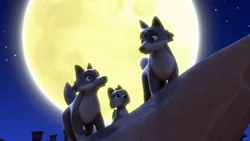 Wolf/Appearances | PAW Patrol Wiki | Fandom