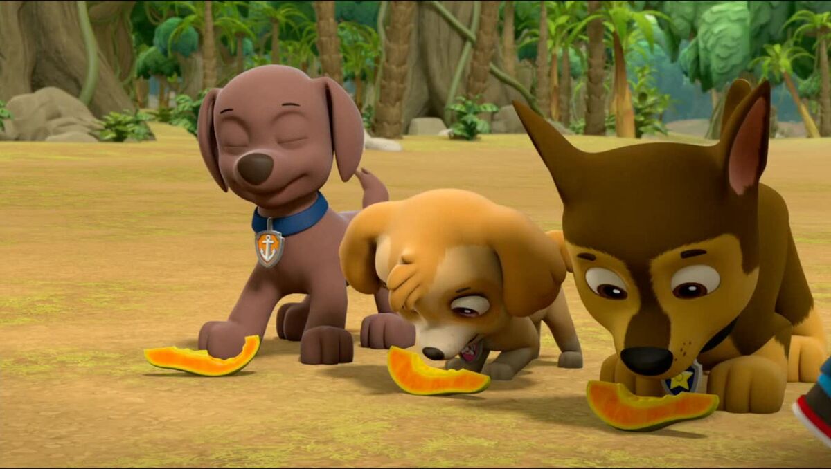 Skye/Gallery/Pups Save the PawPaws | PAW Patrol Wiki | Fandom