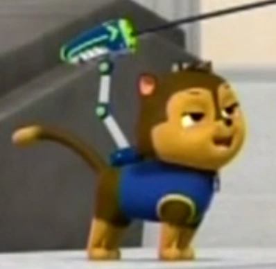 Cat Chase/Gallery | PAW Patrol Wiki | Fandom