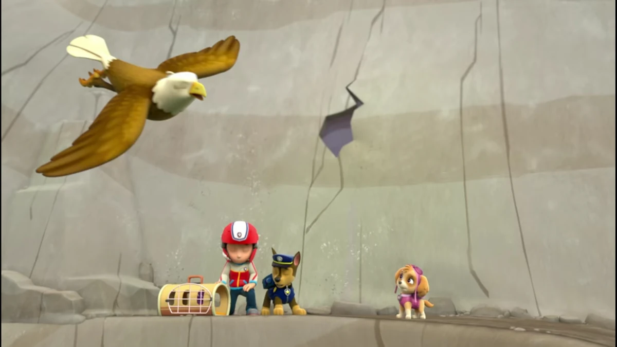 Mama eagle/Gallery/Pups Save a Bat | PAW Patrol Wiki | Fandom