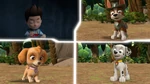 Skye/Gallery/Jungle Pups: Pups Save a Golden Sweetie | PAW Patrol Wiki ...