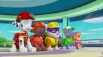 Skye/Gallery/Pups Save Jake | PAW Patrol Wiki | Fandom