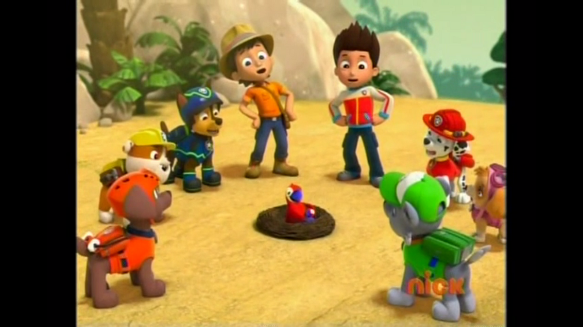 Chasegallerypups Save The Parrot Paw Patrol Wiki Fandom