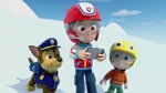 Chase/Gallery/Pups on Ice | PAW Patrol Wiki | Fandom