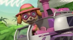 Skye/Gallery/Pups Save a Flamingo Dancer | PAW Patrol Wiki | Fandom