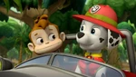 Pups and the Stinky Bubble Trouble/Gallery | PAW Patrol Wiki | Fandom