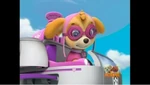 Skye/Gallery/Pups Save Walinda | PAW Patrol Wiki | Fandom