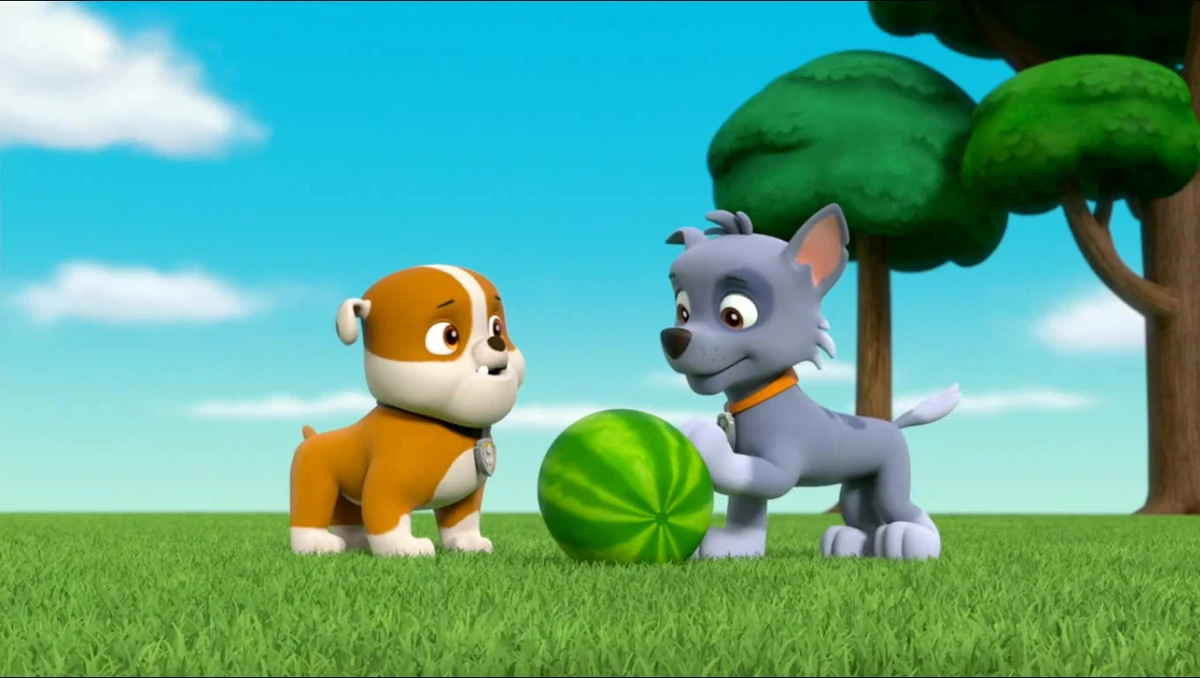 Rubble/Gallery/Pups Save the Runaway Turtles | PAW Patrol Wiki | Fandom