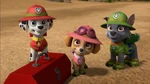 Rocky/Gallery/Pups Save Ryder's Surprise | PAW Patrol Wiki | Fandom