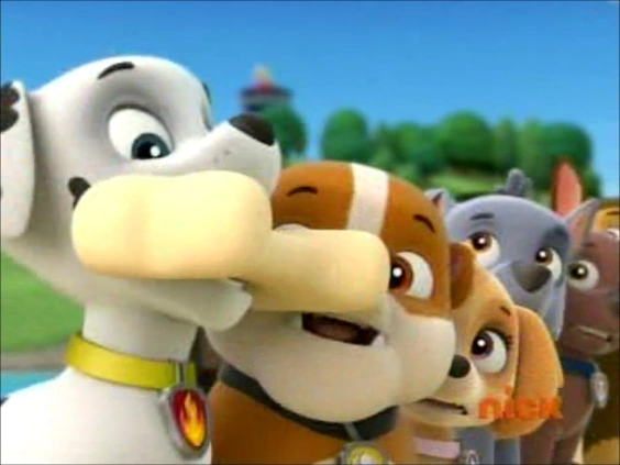 Zuma/Gallery/Pups Save a Walrus | PAW Patrol Wiki | Fandom