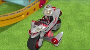 Wild | PAW Patrol Wiki | Fandom