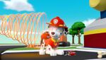 Pups Save Tiny Marshall/Gallery | PAW Patrol Wiki | Fandom