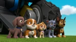Chase/Gallery/Dino Rescue: Pups Save a T-Rex Tyke | PAW Patrol Wiki ...
