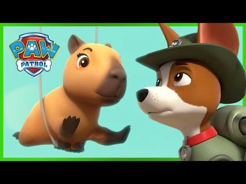 Pups Save a Capybara/Videos | PAW Patrol Wiki | Fandom