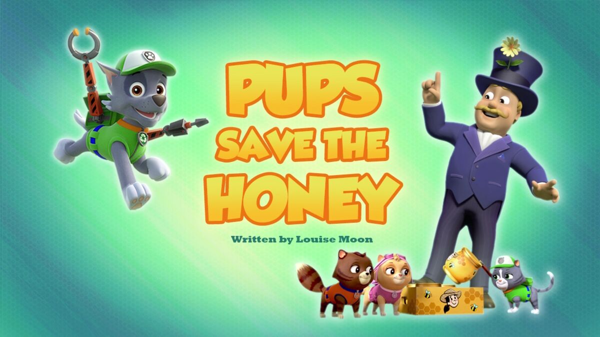 Rocky Gallery Pups Save The Honey Paw Patrol Wiki Fandom