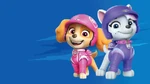 Roxi/Gallery | PAW Patrol Wiki | Fandom