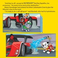 Ready, Race, Rescue! | PAW Patrol Wiki | Fandom