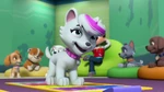 Roxi/Gallery/Rescue Wheels: Pups Save the Teetering Tower | PAW Patrol ...