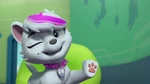 Roxi/Gallery | PAW Patrol Wiki | Fandom