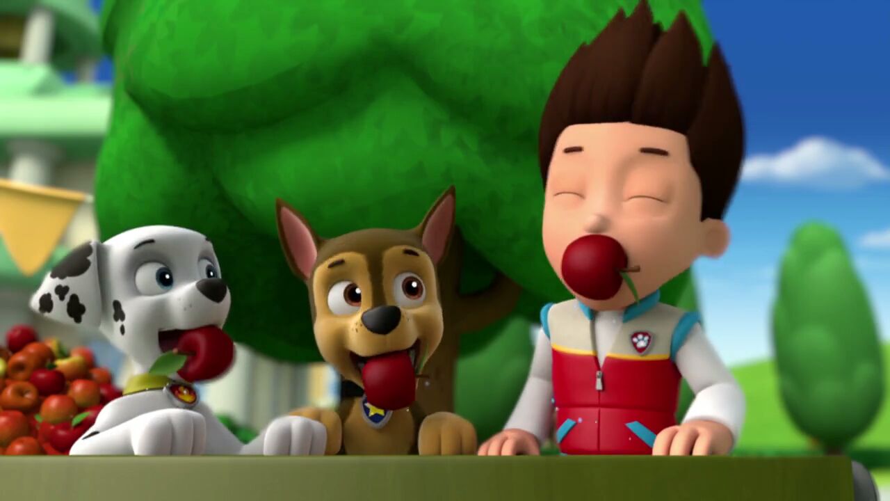 Pups Fall Festivalquotes Paw Patrol Wiki Fandom
