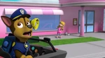 Chase/Gallery/Pups Stop a Pie-Clone | PAW Patrol Wiki | Fandom