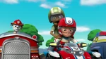 Marshall/Gallery/Pups Save a Roo | PAW Patrol Wiki | Fandom