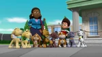 Skye/Gallery/Mighty Pups, Charged Up: Pups vs. Three Super Baddies ...