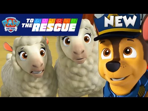 Search & Rescue: Chase Rescues the Runaway Sheep/Videos | PAW Patrol ...
