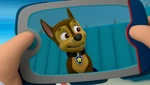 Pups and the Stinky Bubble Trouble/Gallery | PAW Patrol Wiki | Fandom