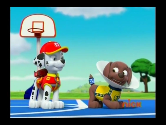 Zuma/Gallery/Pups Save a Basketball Game | PAW Patrol Wiki | Fandom
