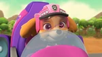 Skye/Gallery/Dino Rescue: Pups Save a T-Rex Tyke | PAW Patrol Wiki | Fandom