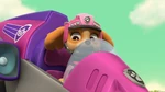 Skye/Gallery/Dino Rescue: Pups Save a T-Rex Tyke | PAW Patrol Wiki | Fandom