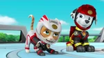 Wild/Gallery/Moto Pups: Pups vs. the Ruff-Ruff Pack | PAW Patrol Wiki ...