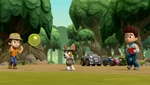 Pups and the Stinky Bubble Trouble/Gallery | PAW Patrol Wiki | Fandom
