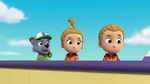 Rocky/Gallery/Pups Save the Wacky Water Skiers | PAW Patrol Wiki | Fandom