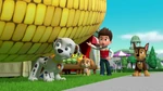 Skye/Gallery/Pups Save a Runaway Rooster | PAW Patrol Wiki | Fandom