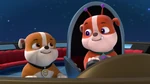 Rubble-Double/Gallery/Pups Save a Rubble-Double | PAW Patrol Wiki | Fandom