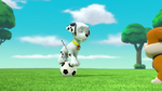 Pups Save the Soccer Game/Gallery | PAW Patrol Wiki | Fandom