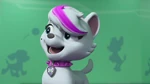 Roxi/Gallery/Rescue Wheels: Pups Save the Teetering Tower | PAW Patrol ...