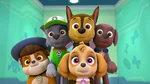 Pups Save Luke Stars/Gallery | PAW Patrol Wiki | Fandom