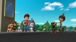 Roxi/Gallery/Rescue Wheels: Pups Save the Runaway Truck | PAW Patrol ...