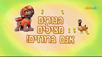 Pups Save a Duck Pond | PAW Patrol Wiki | Fandom