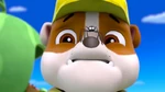 Pups Save a Toof/Gallery | PAW Patrol Wiki | Fandom