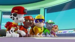 Skye/Gallery/Pups Save Jake | PAW Patrol Wiki | Fandom