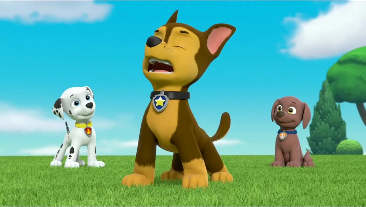 Marshall/Gallery/Mission PAW: Pups Save the Princess' Pals | PAW Patrol ...